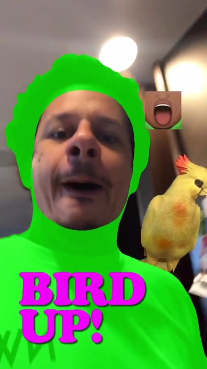 Eric Andre Show: Bird Up! - Instagram Filter on Vimeo