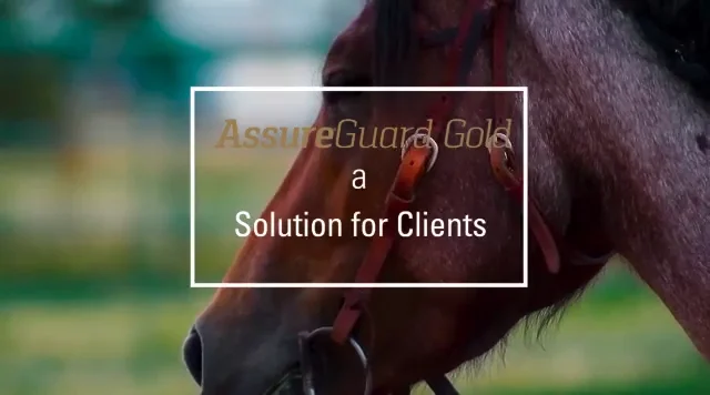 Assure Guard Gold A Solution for Clients on Vimeo