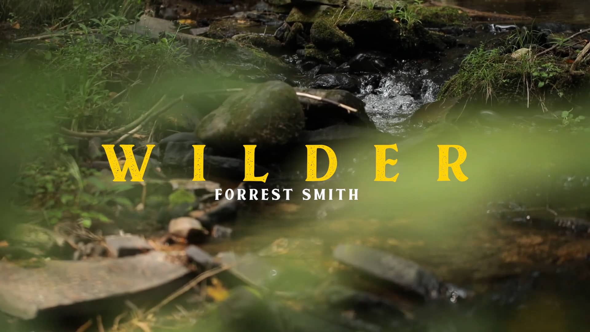 Wilder - Forrest Smith on Vimeo