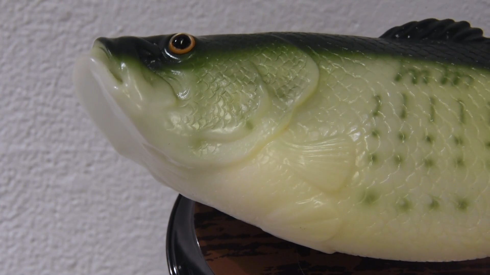 Confession Fish on Vimeo