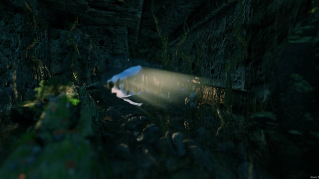 Cave Water Insects - Free video on Pixabay