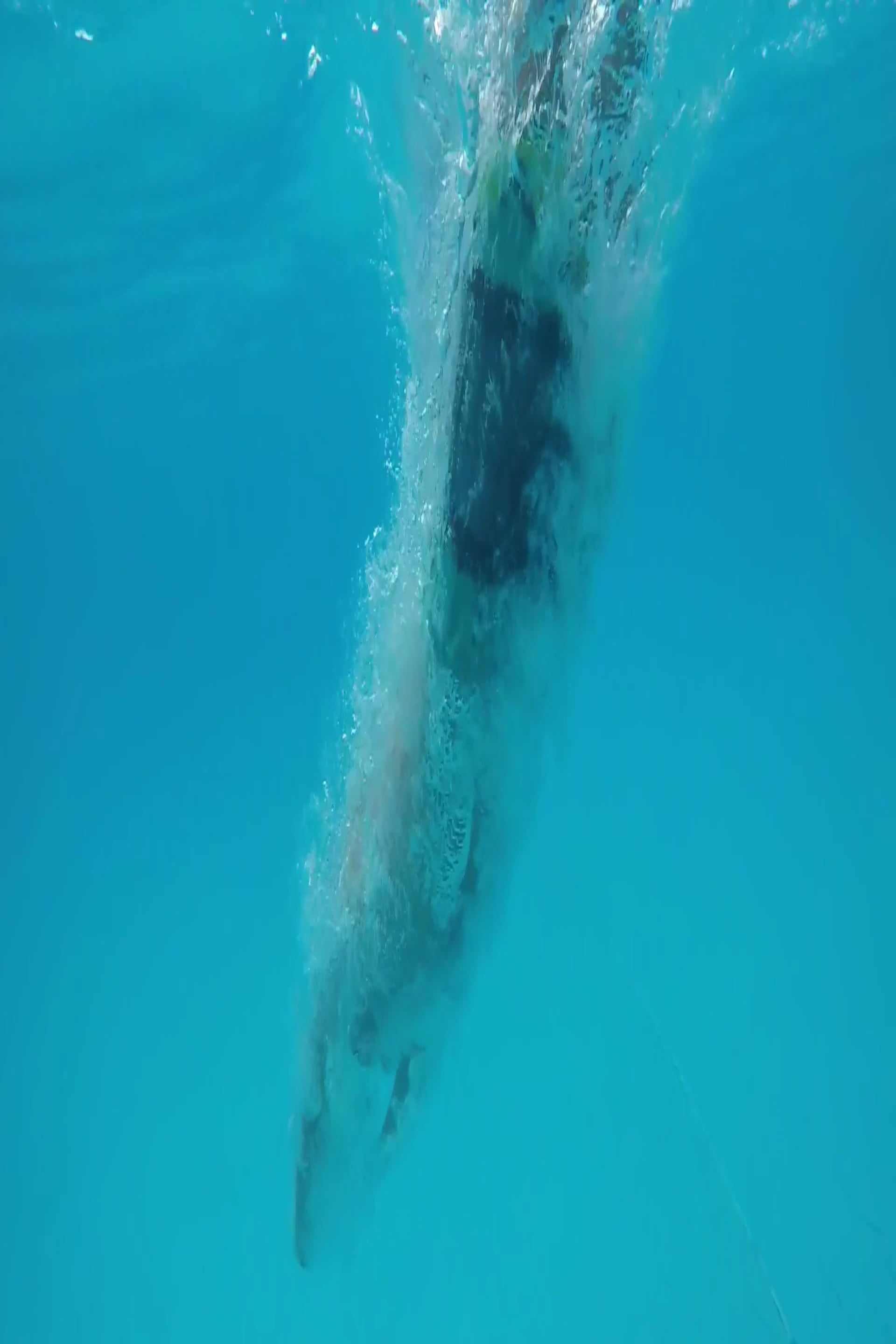 diving into ocean on Vimeo