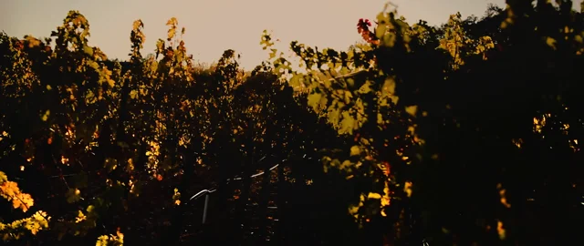 Autumn Twitter Headers Tumblr