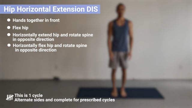 5 Best Hip Mobility Exercises | VIP Downloads - Precision Movement