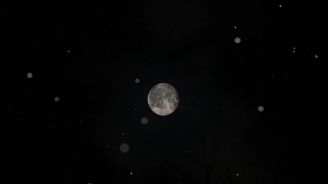 Snowfall, Moon, Night. Free Stock Video - Pixabay