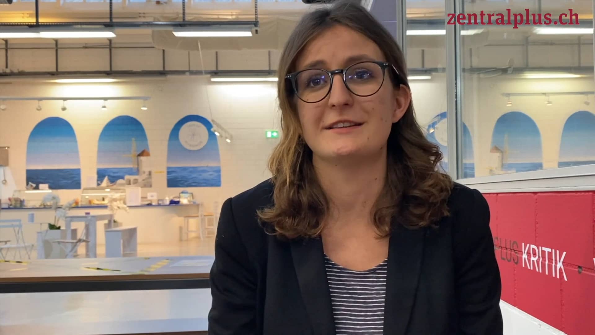 Julia Küng zur Kriegsgeschäfte-Initiative on Vimeo